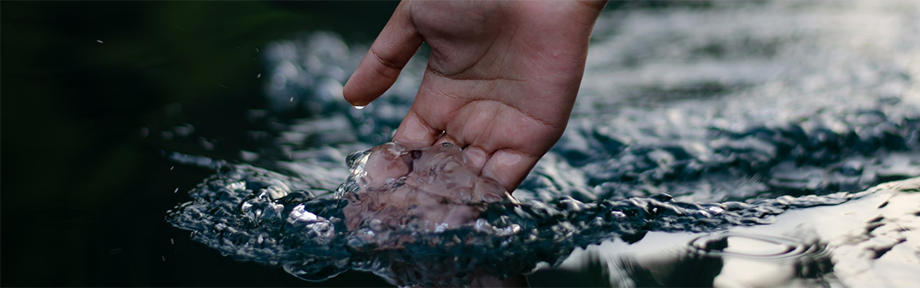 Finding And Following Your God Given Calling